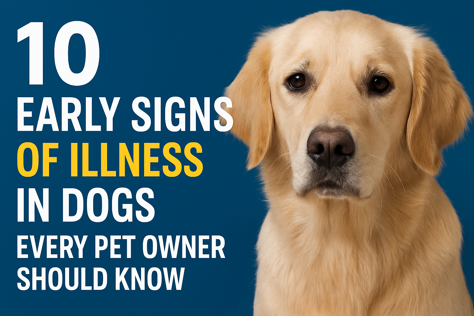 10 Early Signs of Illness in Dogs Every Pet Owner Should Know