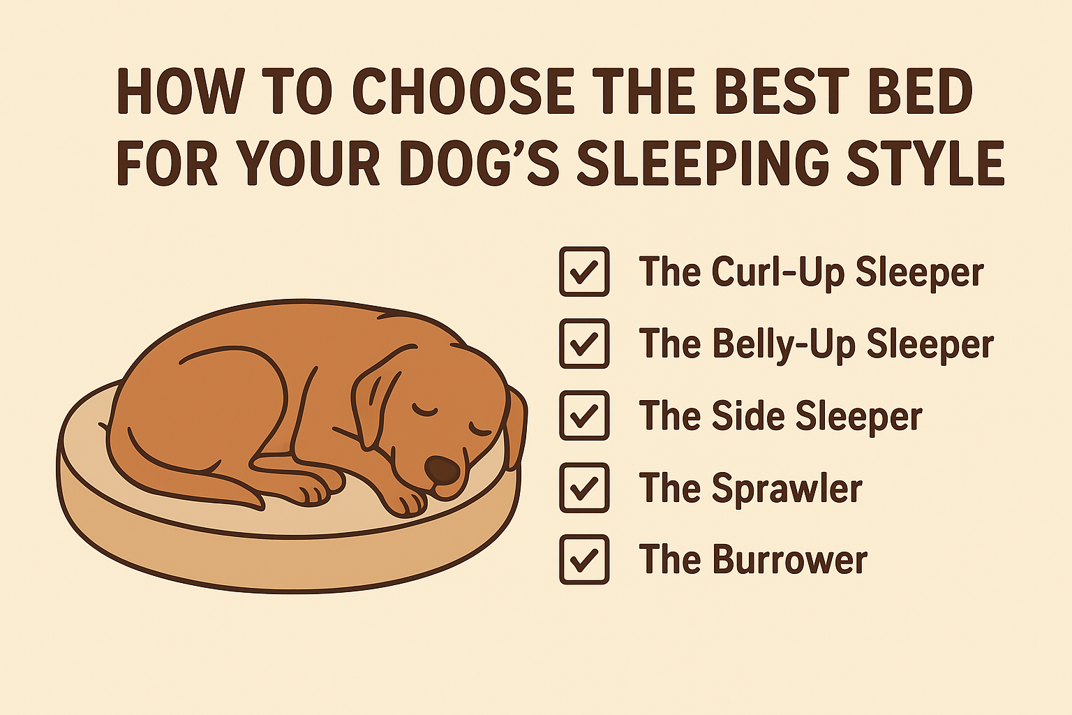 How to Choose the Best Bed for Your Dog’s Sleeping Style